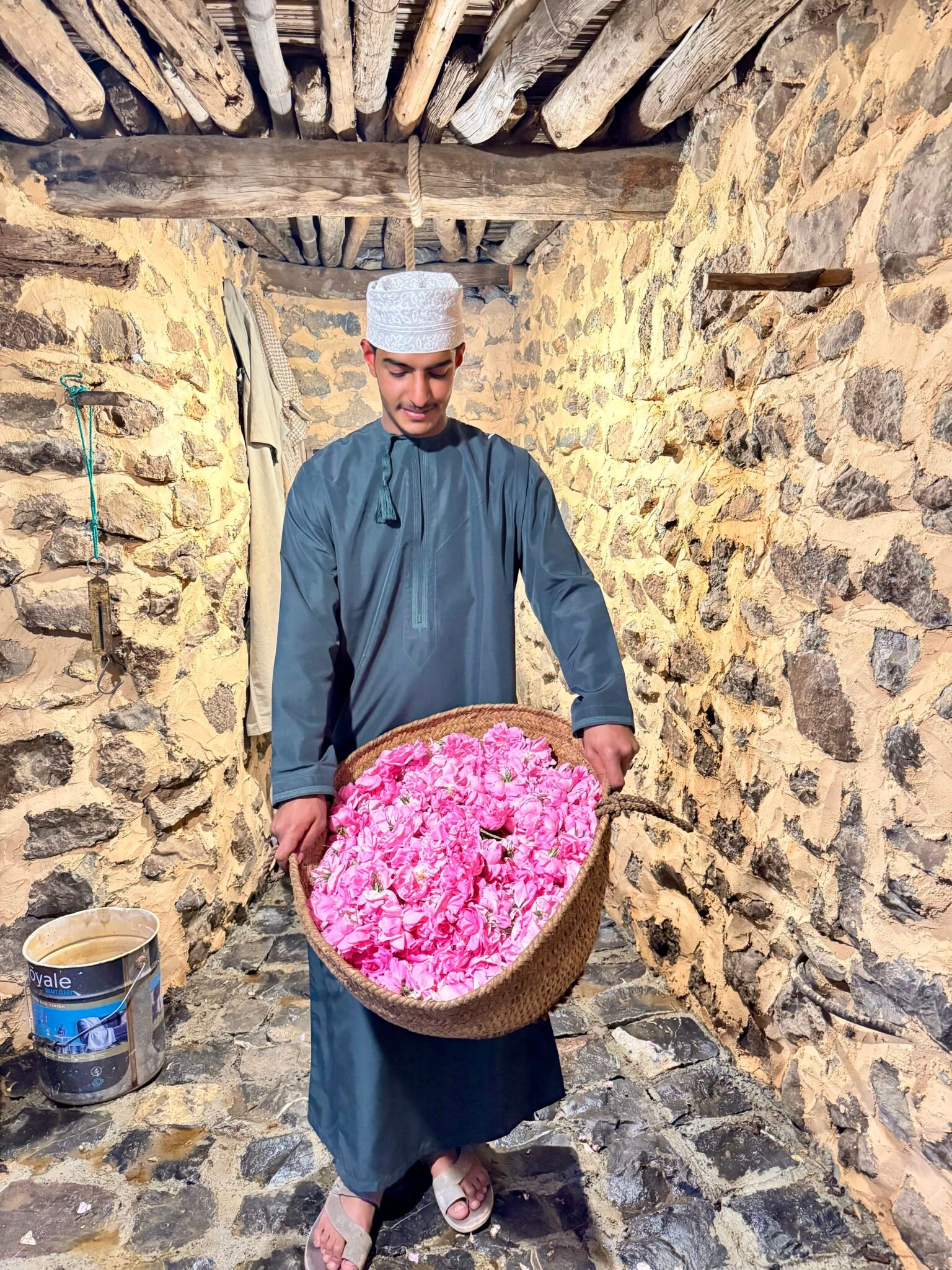 Rose harvesting in Jabal Akhdar – Mytouroman