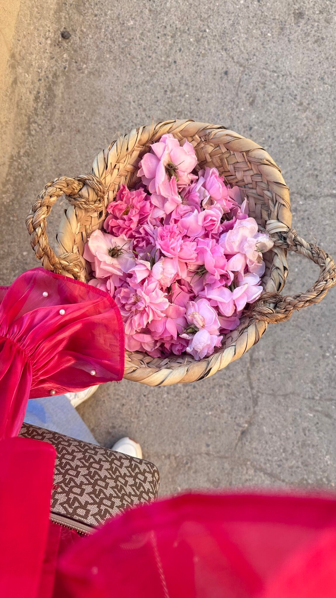 Rose harvesting in Jabal Akhdar - Mytouroman